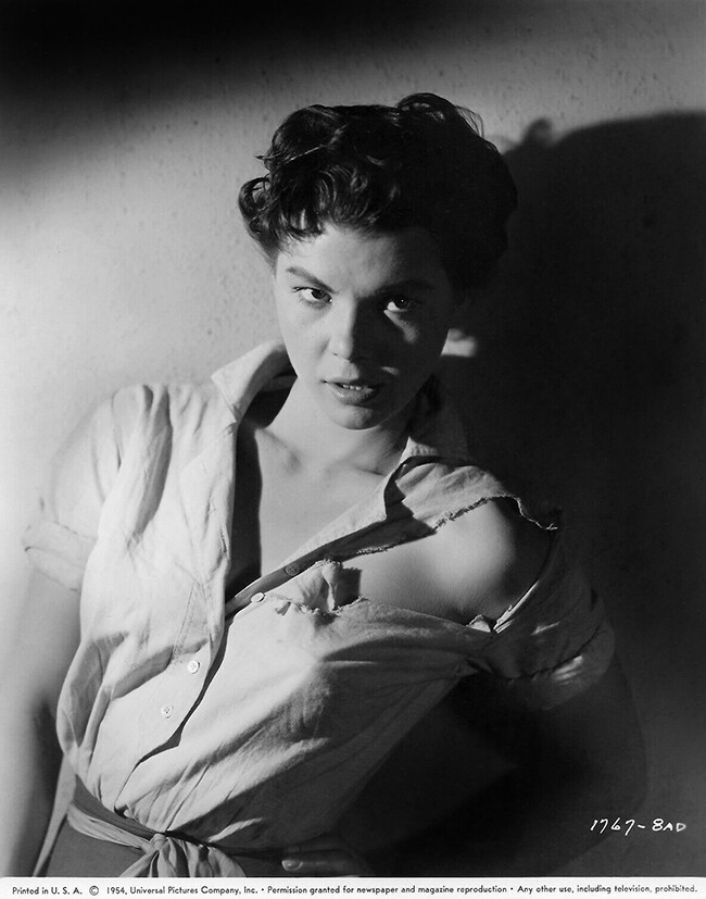 Colleen Miller الشبكة Al Chabaka Achabaka Arabic Colleen Miller