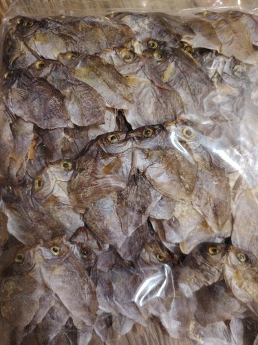 Dried Fish Danggit / Rabbit Fish Unsalted From Cebu | eBay