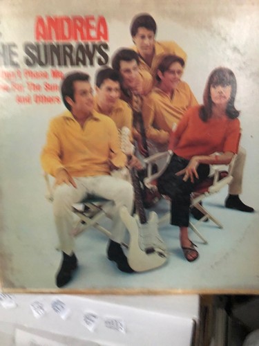 THE SUNRAYS Andrea Mono Tower LP 1966 Beach Boys Brian Murry Wilson SURFPOP | eBay