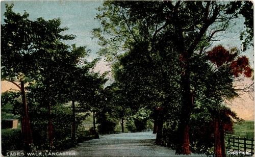 LADIES WALK, LANCASTER, COMMUNICATION, INLAND, ADDRESS, STAMP Postcard ...