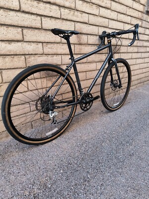 REI Novara Buzz gravel adventure touring bike large frame! Steel is ...