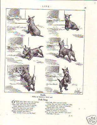 1925 Robert Dickey - Scottish Terrier's new family | eBay