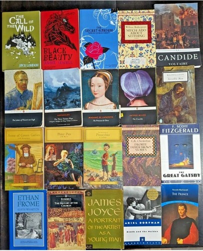 📚💫 Lot of 18 Classic Literature Works – Legendary Books for Book Lovers ...