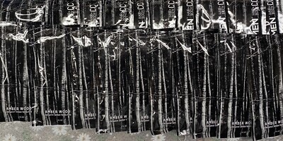 WENMEN By Chaz Dean Cleansing Conditioner Amber Woods 2oz Each Lot Of ...