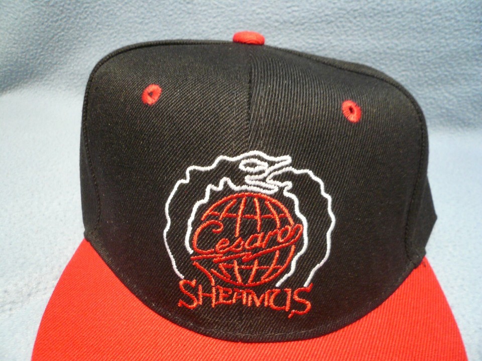 WWE Authentic Sheamus & Cesaro We Are "The Bar" BRAND NEW snapback hat ...