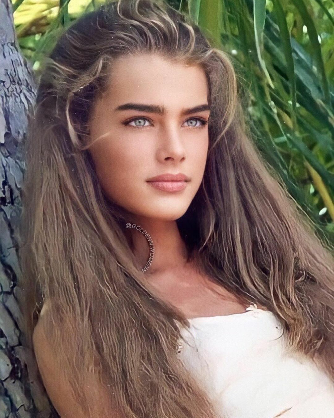 YOUNG BROOKE SHEILDS 8x10 Glossy Photo | eBay