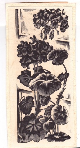 ORIGINAL WOOD ENGRAVING ‘GERANIUMS’ by AGNES MILLER PARKER RE 1936 2.5 ...