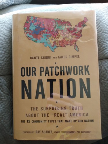 2010 Chinni & Gimpel OUR PATCHWORK NATION American culture "red v blue ...
