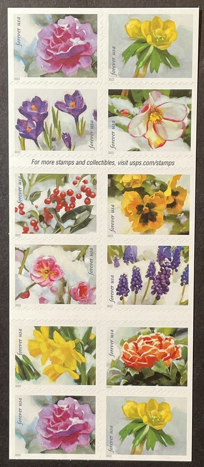 US SNOWY BEAUTY FLOWERS FOREVER STAMPS BOOKLET PANE 2022 MNH 5745A ...