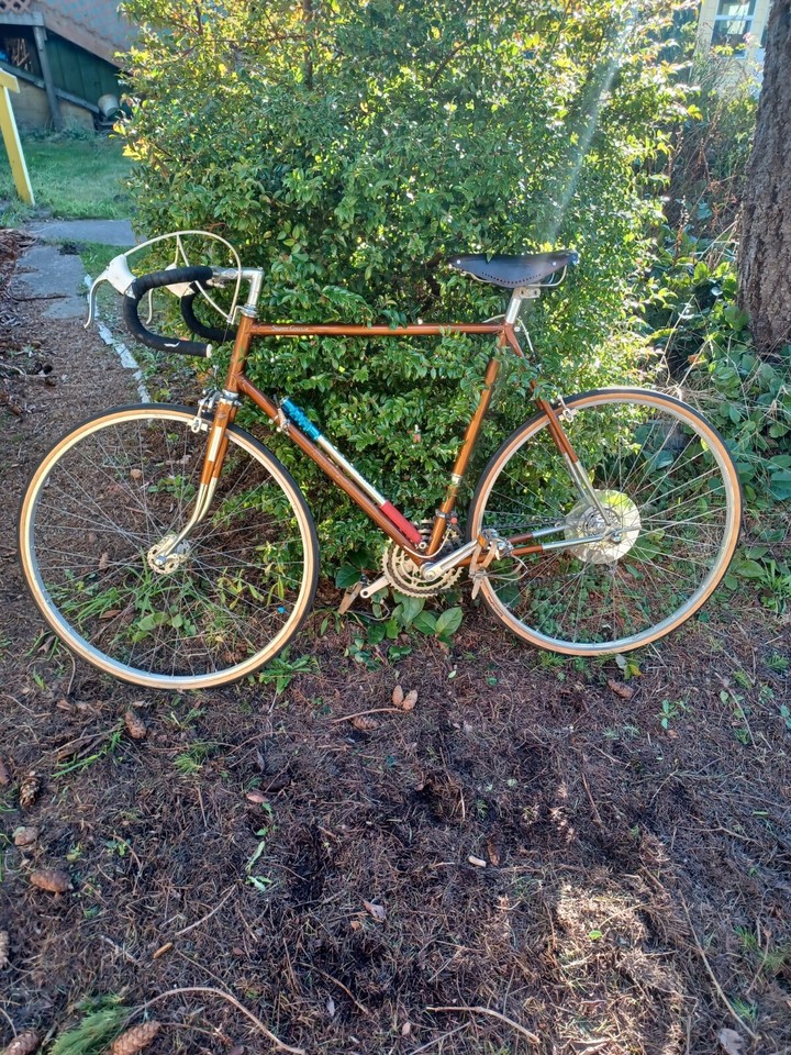 Raleigh Super Course Bicycle | eBay