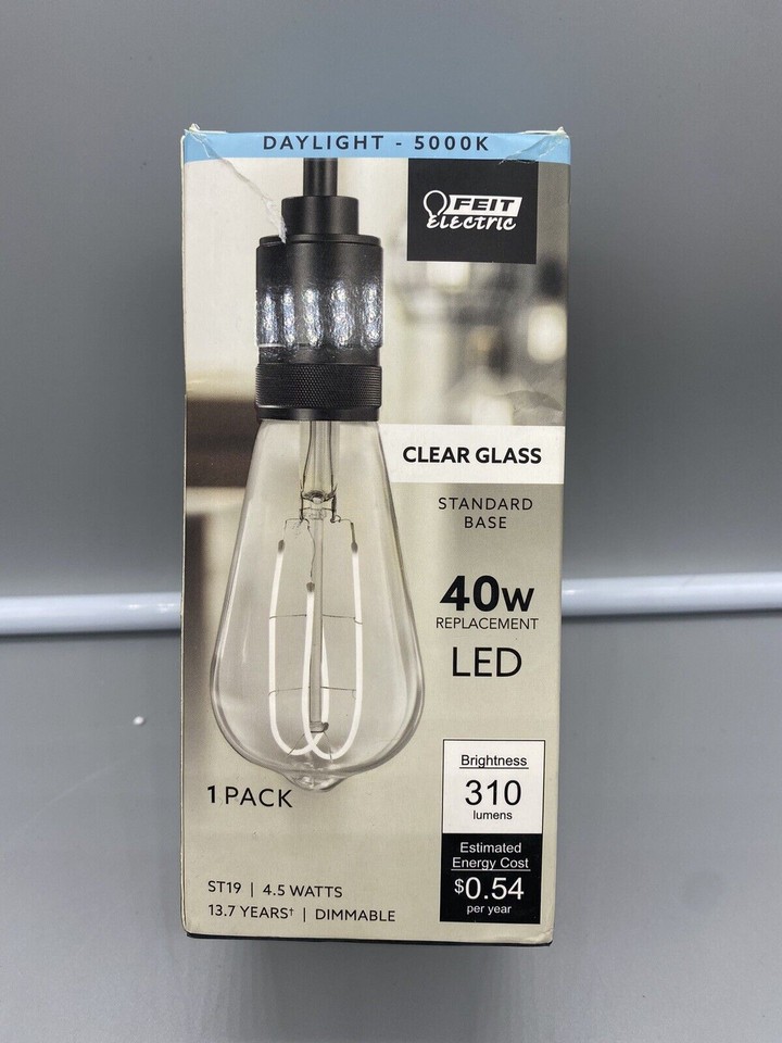 Feit Electric 40W Replacement 5000K Clear Glass LED Light Bulb ST19 | eBay