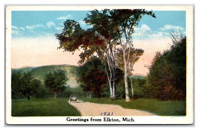 ELKTON Michigan MI ~ Huron County ~ greetings from ~ dirt road car | eBay