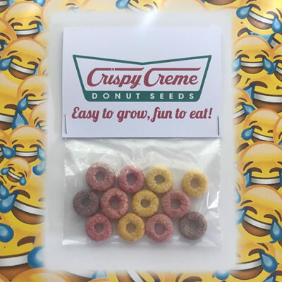 Crispy Creme Donut Seeds Doughnut Gift Novelty Joke Christmas Xmas Idea ...