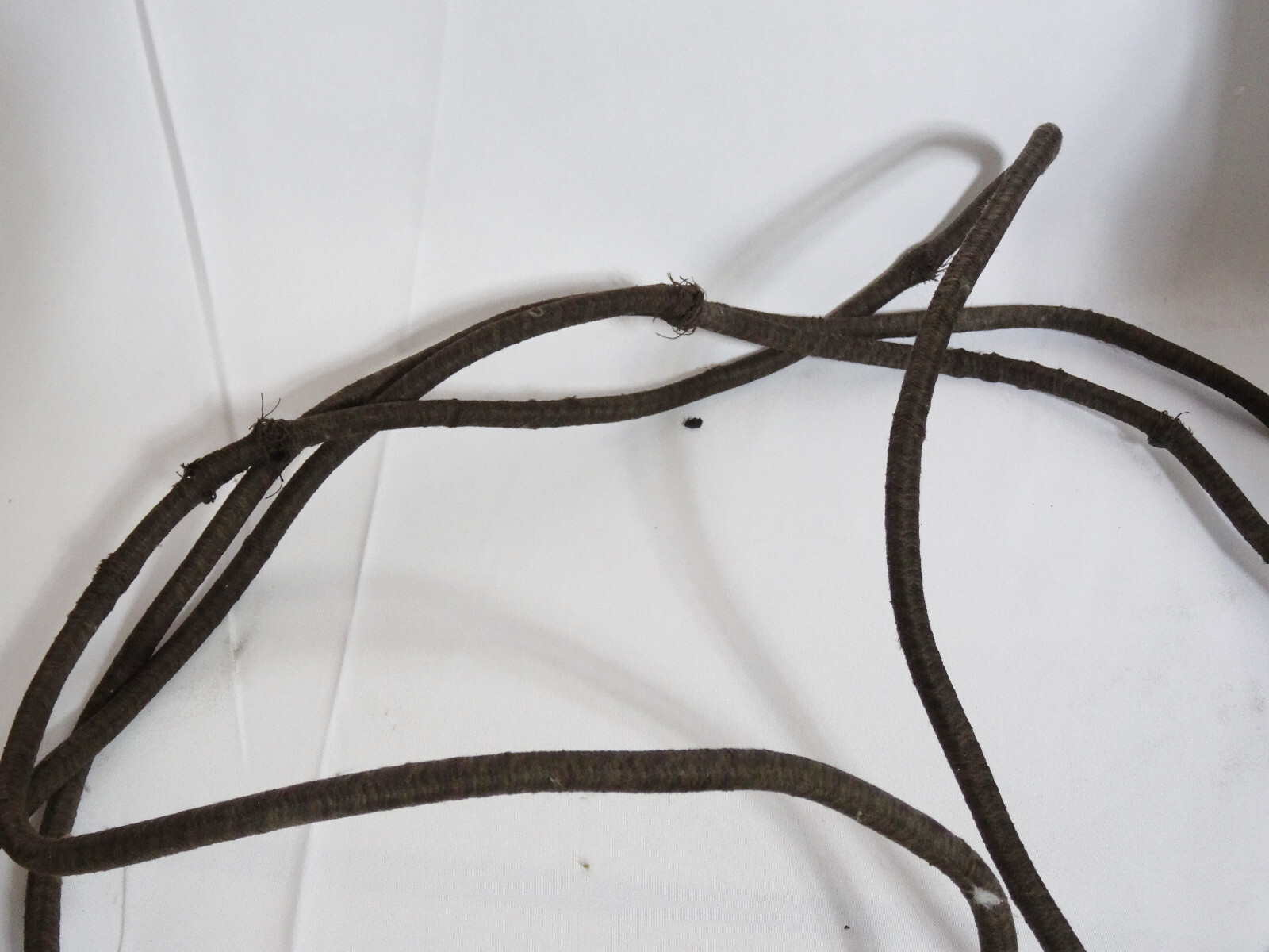 ANTIQUE MIRROSCOPE CLEVELAND MAGIC LANTERN POST CARD PROJECTOR | eBay