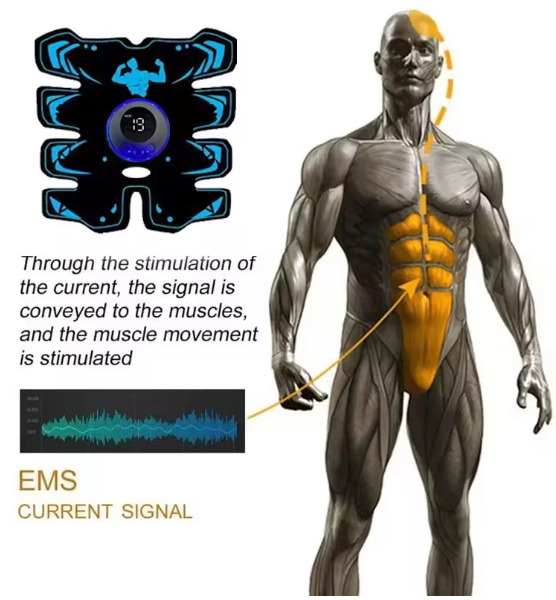 Tactical-X ABS Stimulator Ultimate Power ABS 360 EMS stimulator ...
