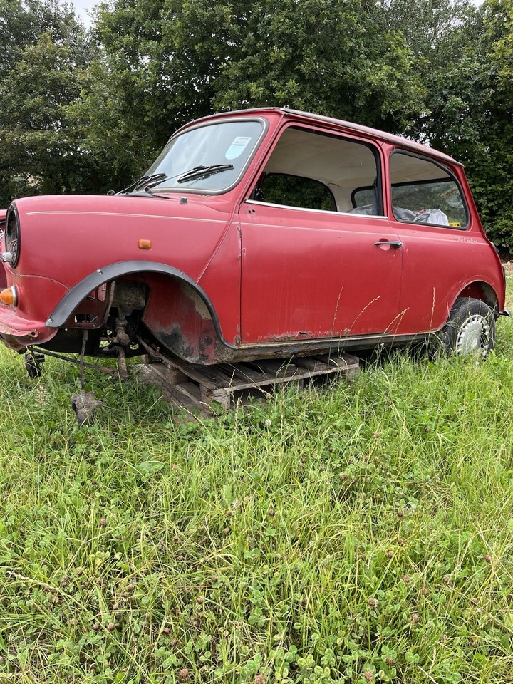 Classic Mini | eBay UK