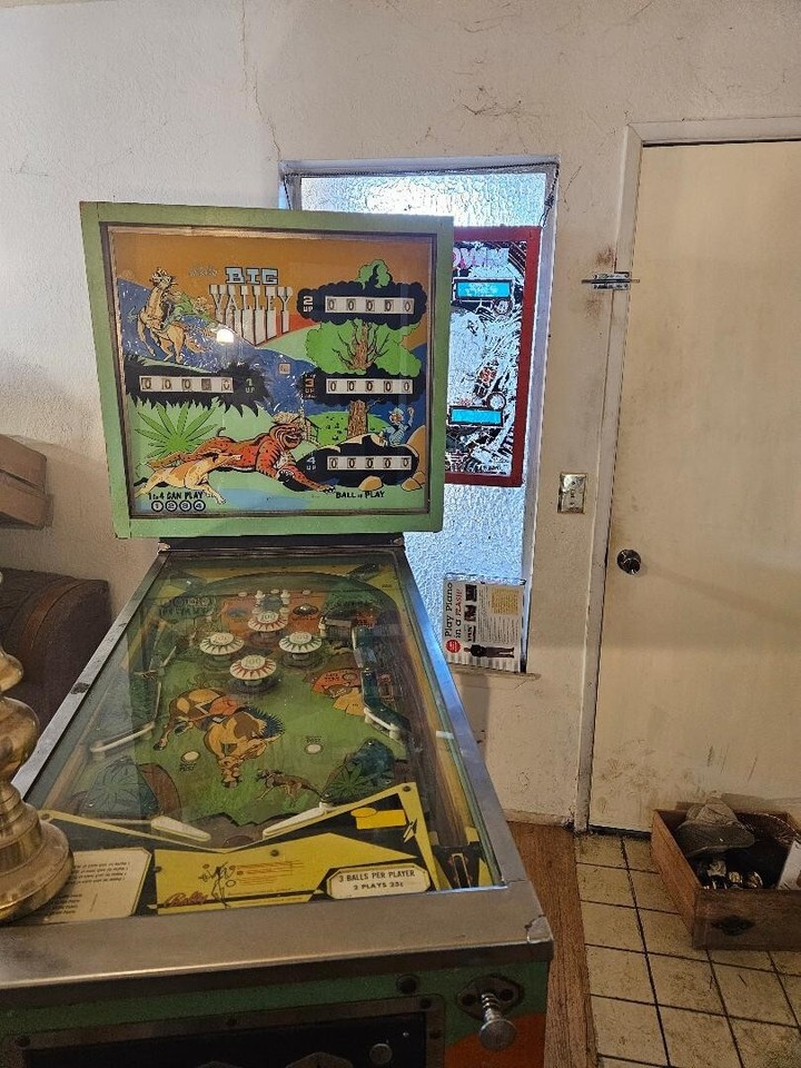 THE ORIGINAL BALLY PINBALL MACHINE FROM THE MOVIE - RENALDO & CLARA ...