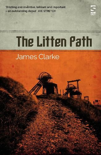 James Clarke The Litten Path (Paperback) Salt Modern Fiction (UK IMPORT ...