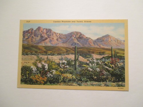 Tucson Arizona Postcard Catalina Mountains AZ | eBay