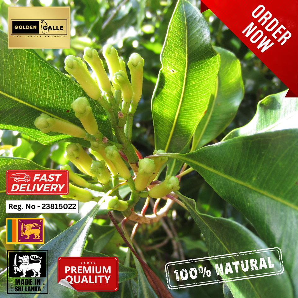 100% Pure Ceylon Whole organic Clove Cloves Sun Dried Organic Herbs ...