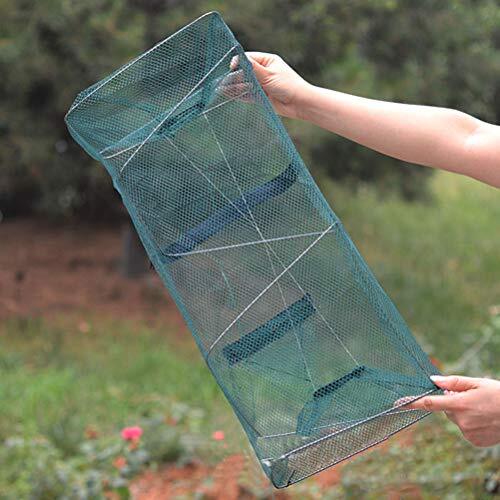 Collapsible Fishing Trap Net,Fish Shrimp Minnow Crayfish Crab Baits ...