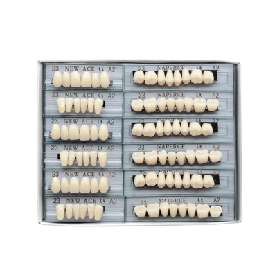 Porcelain - Denture Teeth