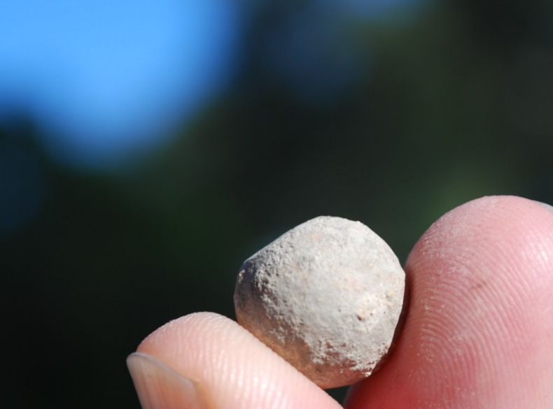 1715 Plate Fleet Spanish Musket Ball Shipwreck Weathered - Mel Fisher ...