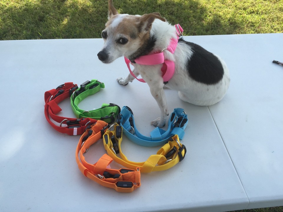 RECHARGEABLE DOG HARNESS MICRO USB GLOW LED night safety flash light-up ...