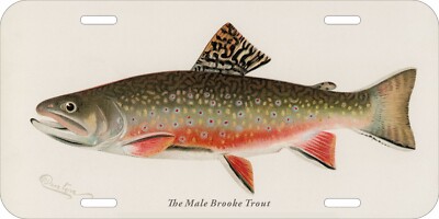 SHERMAN DENTON FISHING NORTH AMERICA MALE BROOKE TROUT CAR METAL ...