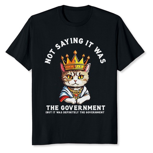NEW LIMITED Not Saying It Was The Government Conspiracy Tin Foil Hat T ...