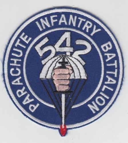 Army Patch: 542nd ABN Infantry Battalion - COPY | eBay