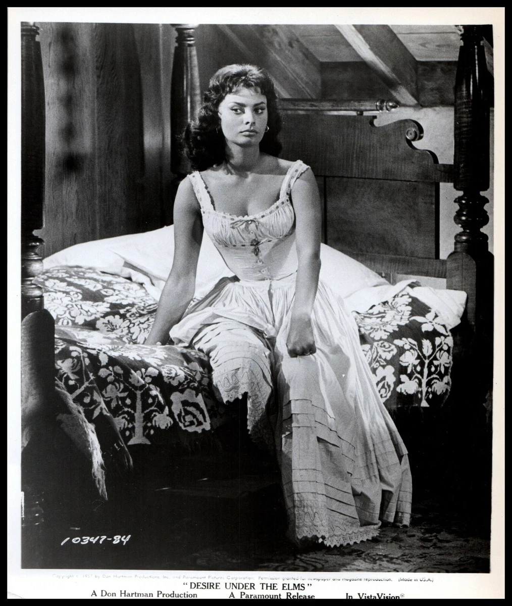 Desire Under The Elms Sophia Loren