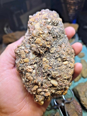 meteorite Primitive Achondrite Weight 512 Grams. Beautiful!! semi ...