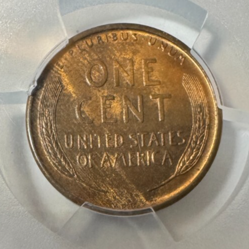 1909 S VDB Wheat Penny PCGS MS62BN WOW Great Coin Graded For You COBM ...