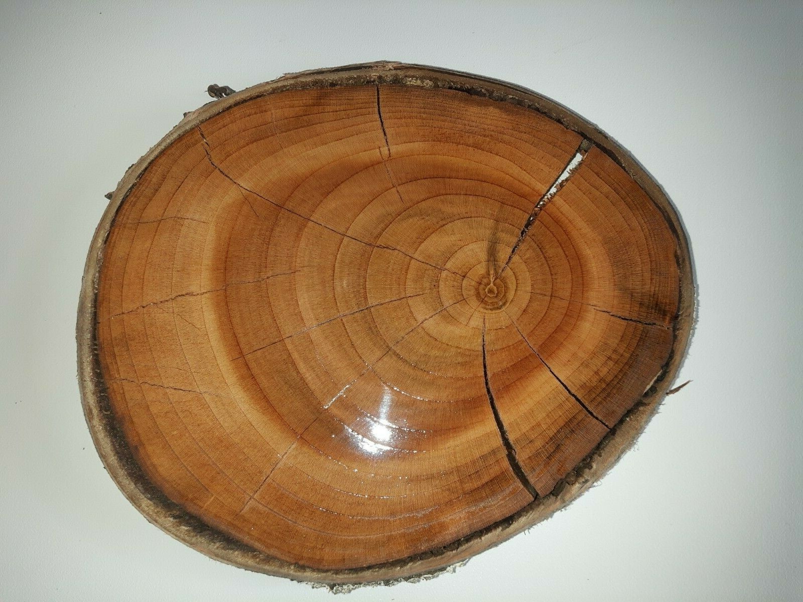 Kirsche Holz Stamm Scheibe Schnitzholz Kirschbaumholz geschliffen ...