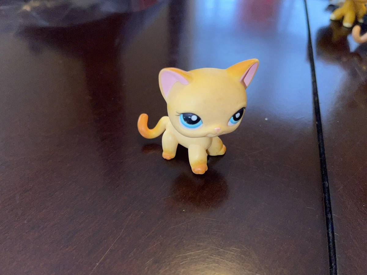 Littlest Pet Shop Cat Ebay