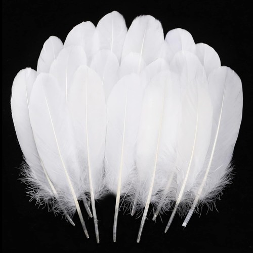 Natural White Goose Feathers 120Pcs 6-8 Inch Bulk Feathers for Craft ...