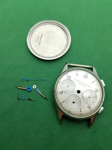 Technicum Cantonal Bienne 33816 Case with Hands - Parts | eBay
