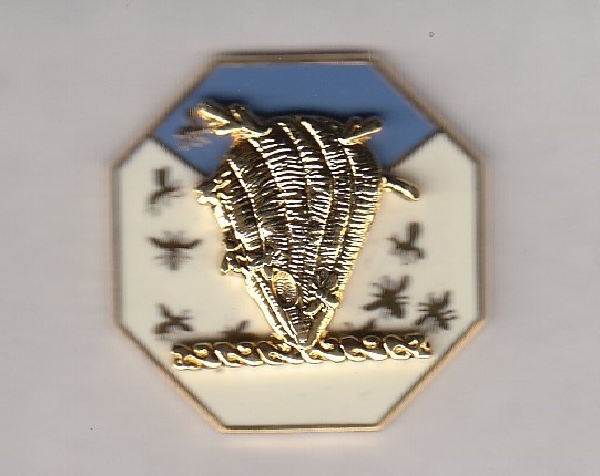 North Carolina Army National Guard ARNG crest DUI badge c/b V-21 | eBay