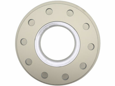For 2008 Workhorse W16 Brake Rotor and Hub Assembly Rear Raybestos ...
