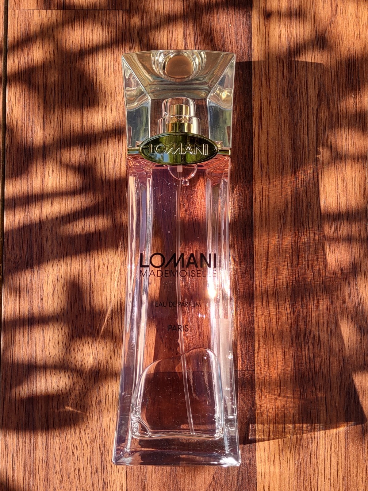 Lomani 2 Mademoiselle by Lomani Women 3.4 Oz Eau De Parfum Spray for ...