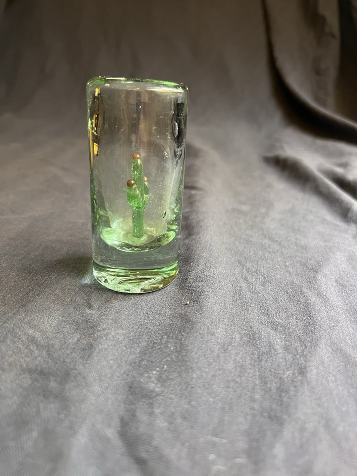 Shot Glass Clear Small Light Green Cactus On Inside | eBay