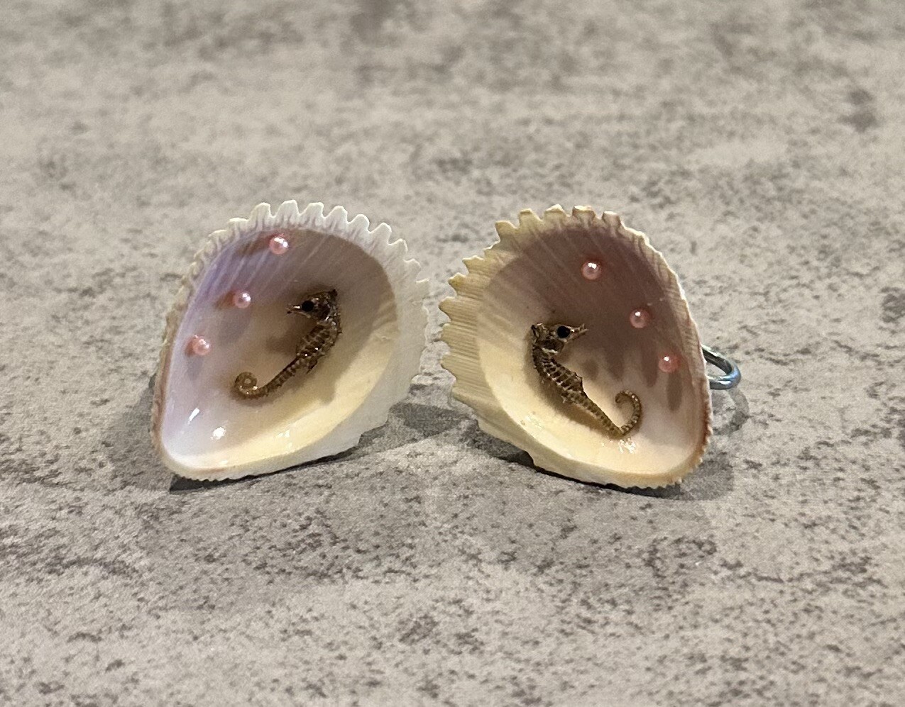 Vintage Seashell Seahorse Shell Screw Back Earrings “… - Gem