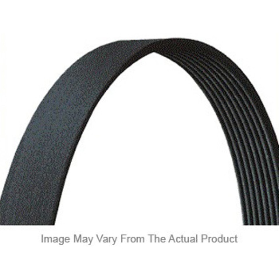 5060990DR Dayco Serpentine Belt for MB Mercedes VW Chevy S Class SL E ...