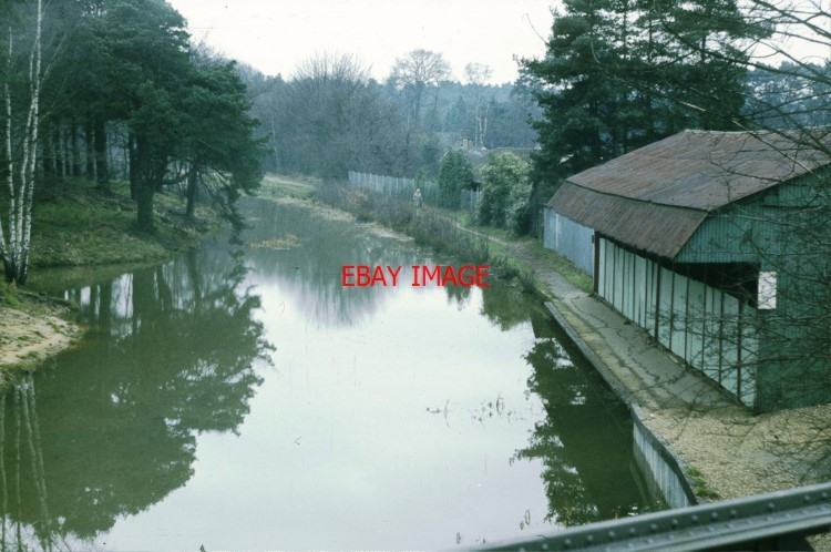 PHOTO BASINGSTOKE CANAL ASH VALE BOAT HOUSE LOOKING WEST 1982 | eBay UK
