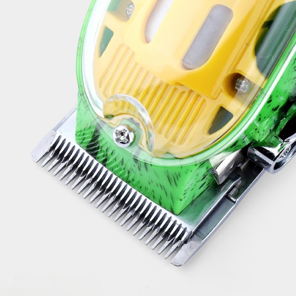 Professional Cordless Electric Transparent Hair Clipper for Men with ...