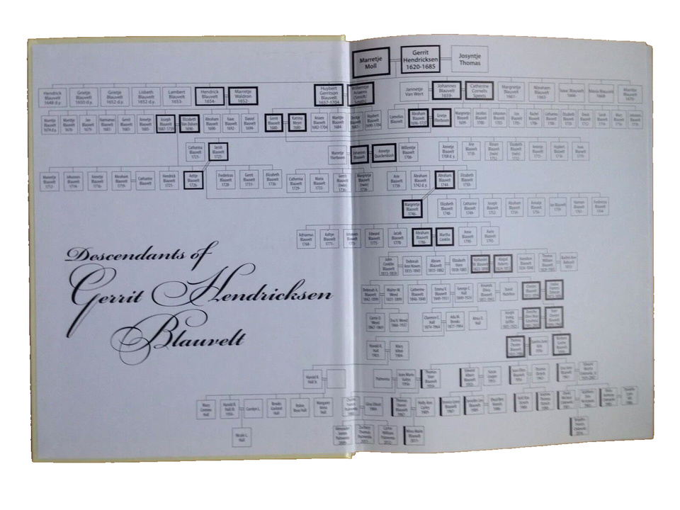 THOMAS CHESTER BLAUVELT SCHOFIELD FAMILY GENEALOGY HISTORY BOOK, BETHEL ...