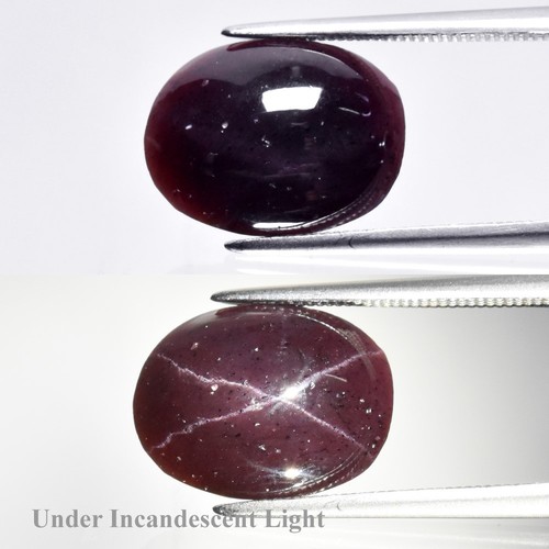 💎 6.17ct Oval Natural Dark Reddish Purple 4 Ray Star Rhodolite Garnet ...