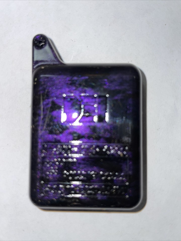 VIPER DEI HORNET VALET 2- button PURPLE REPLACEMENT Remote Case ...