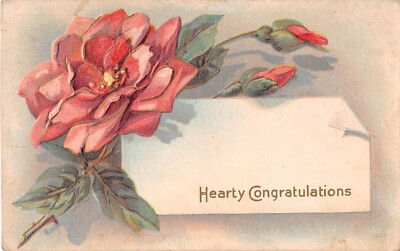 Lovely Wild Roses on Old Hearty Congratulations Postcard | eBay